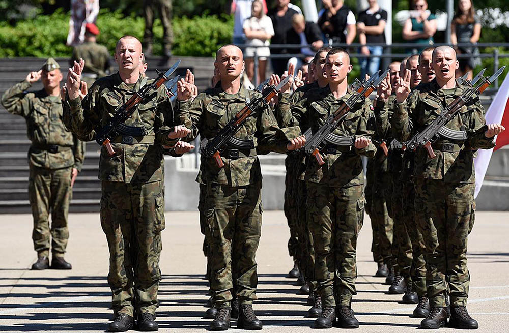 Ochotnik pożądany | Przegląd